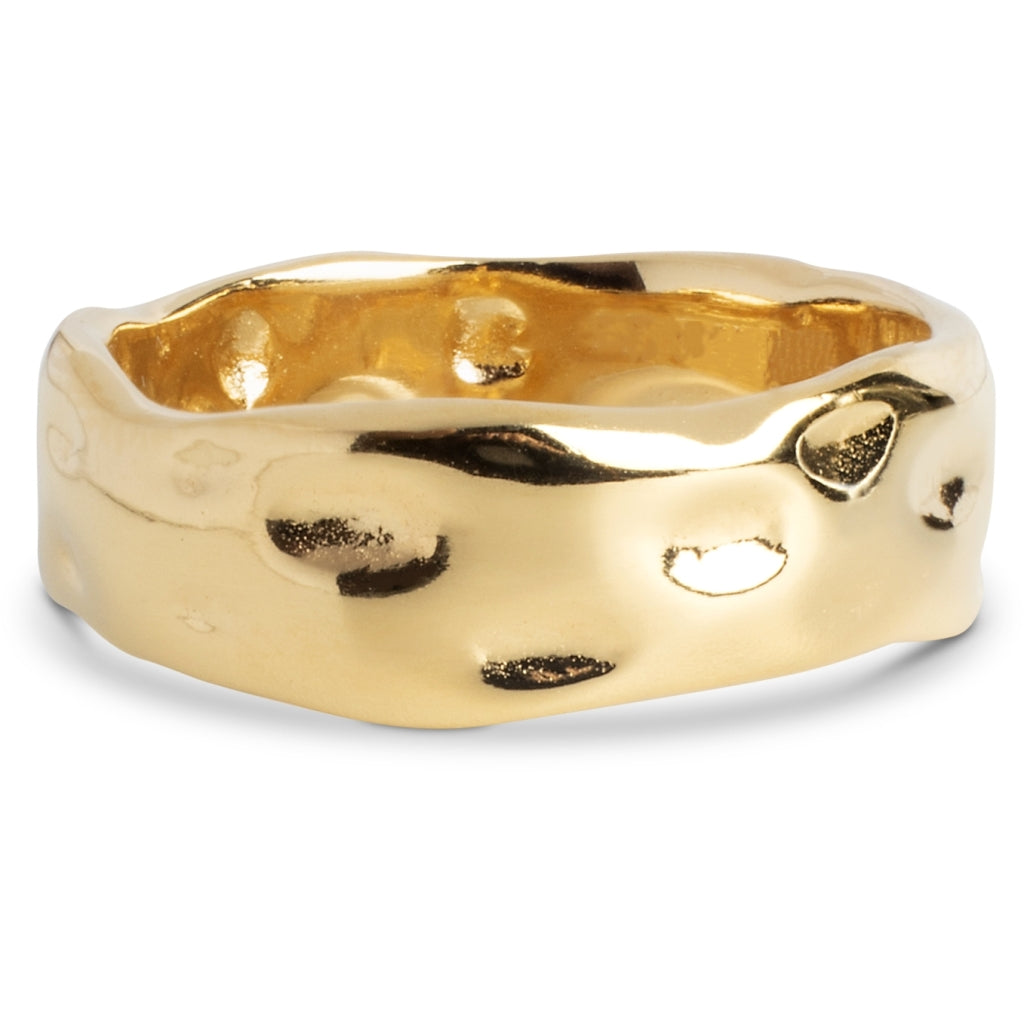 Sandra Ring - Gold | Still Life Story