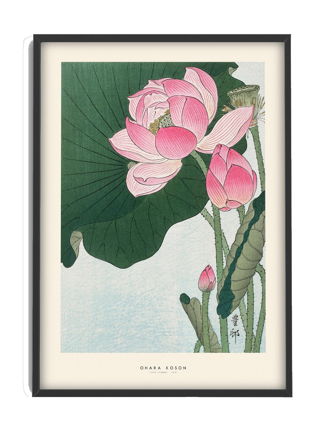 Lotus Poster | Still Life Story