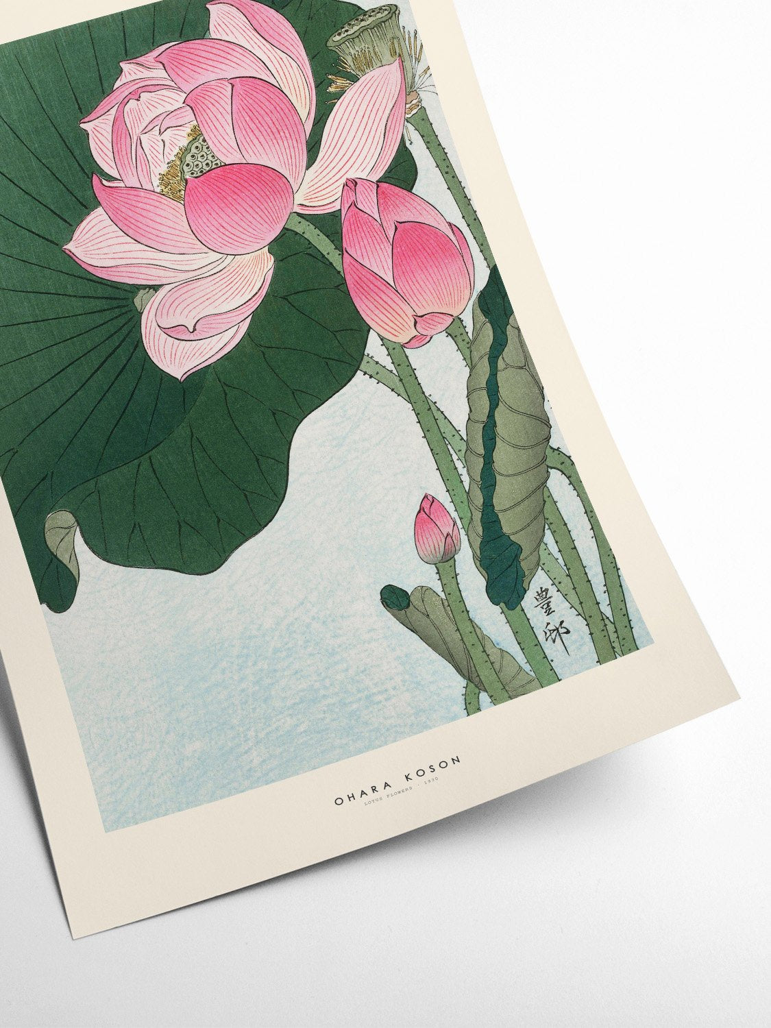 Lotus Poster | Still Life Story